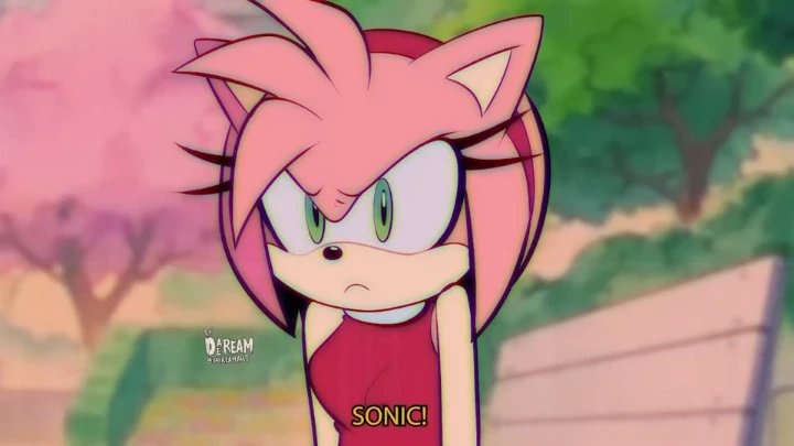 Amy rose silly small frames