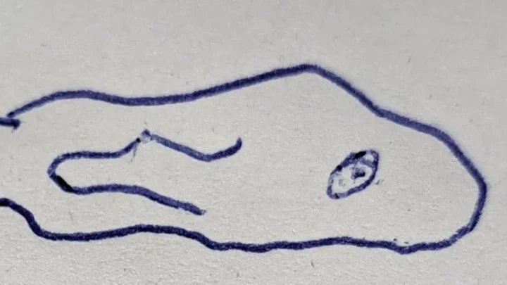 the backrooms: useless? another fish film