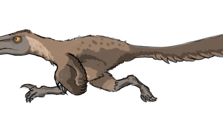 Utahraptor Run-Cycle WhiteBG