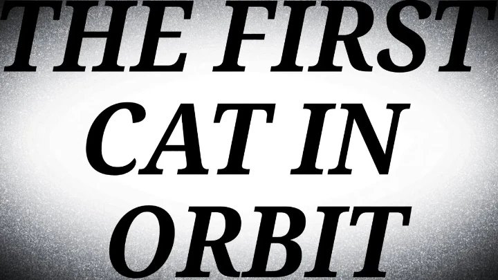 THE FIRST CAT IN ORBIT