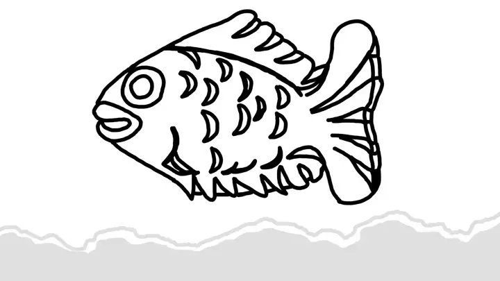 HotFish-SameButDifferent