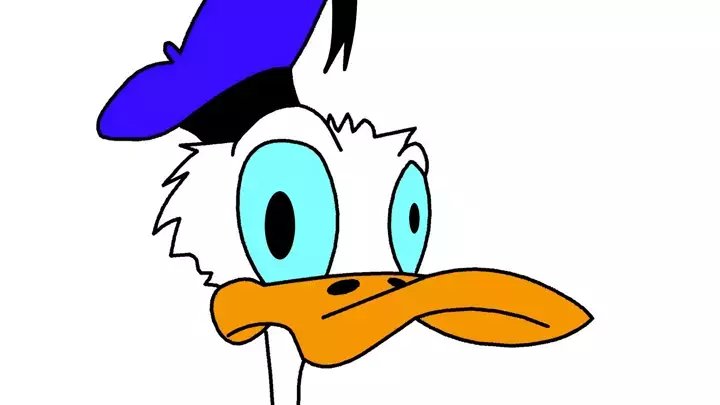 The DonaldDuck Collection