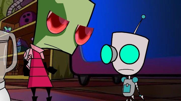 The everyday life of ZIM