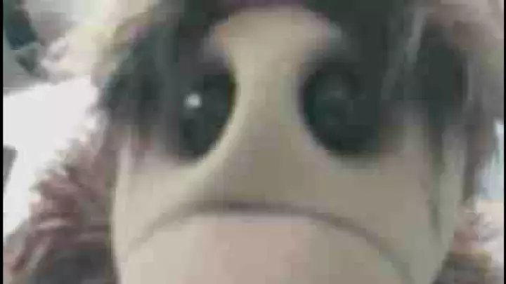 The Ultimate Catchphrase