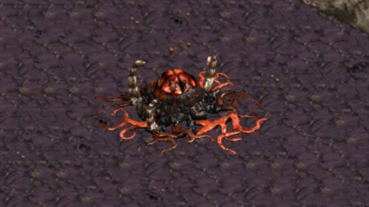 StarCraft FA 5 SE2008