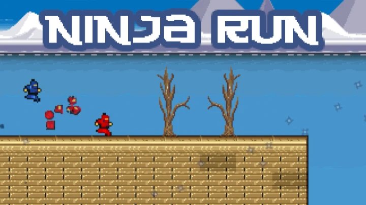Ninja Run