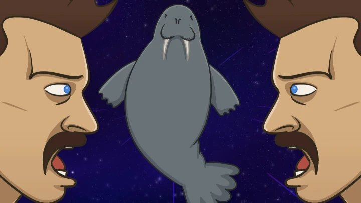 SPACE WALRUS