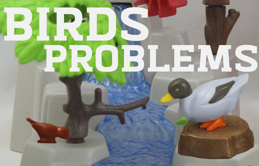 BIRDS PROBLEMS