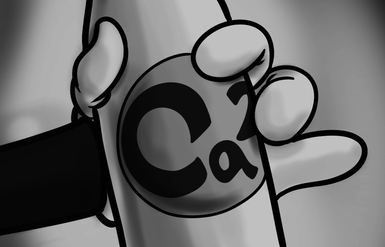 A Calcium Cartoon