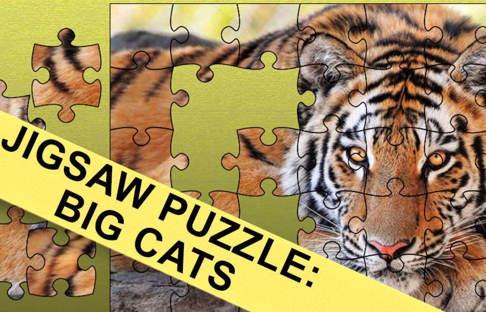 Jigsaw Puzzle: Big Cats