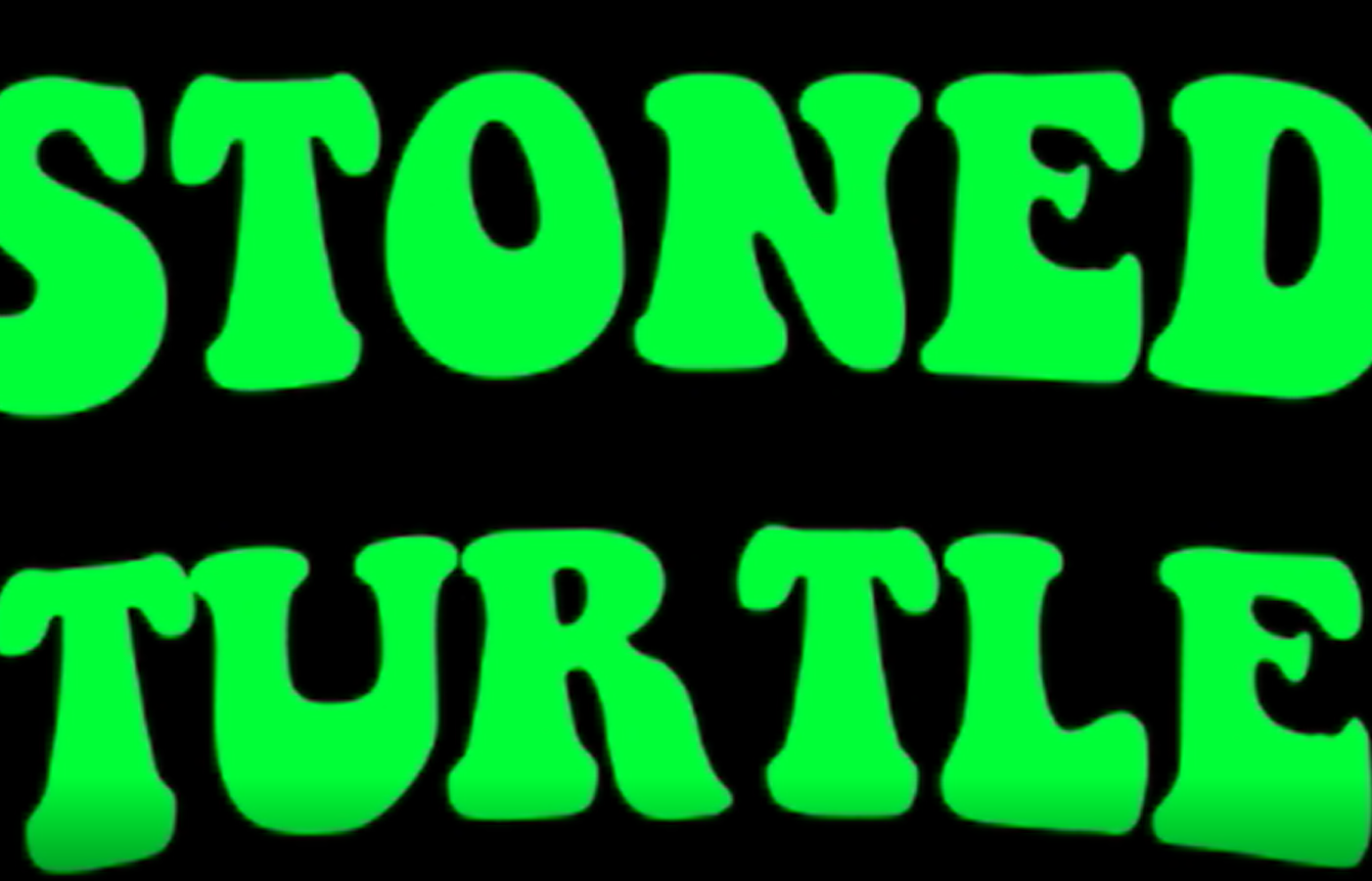Stoned Turtle