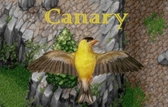 Canary