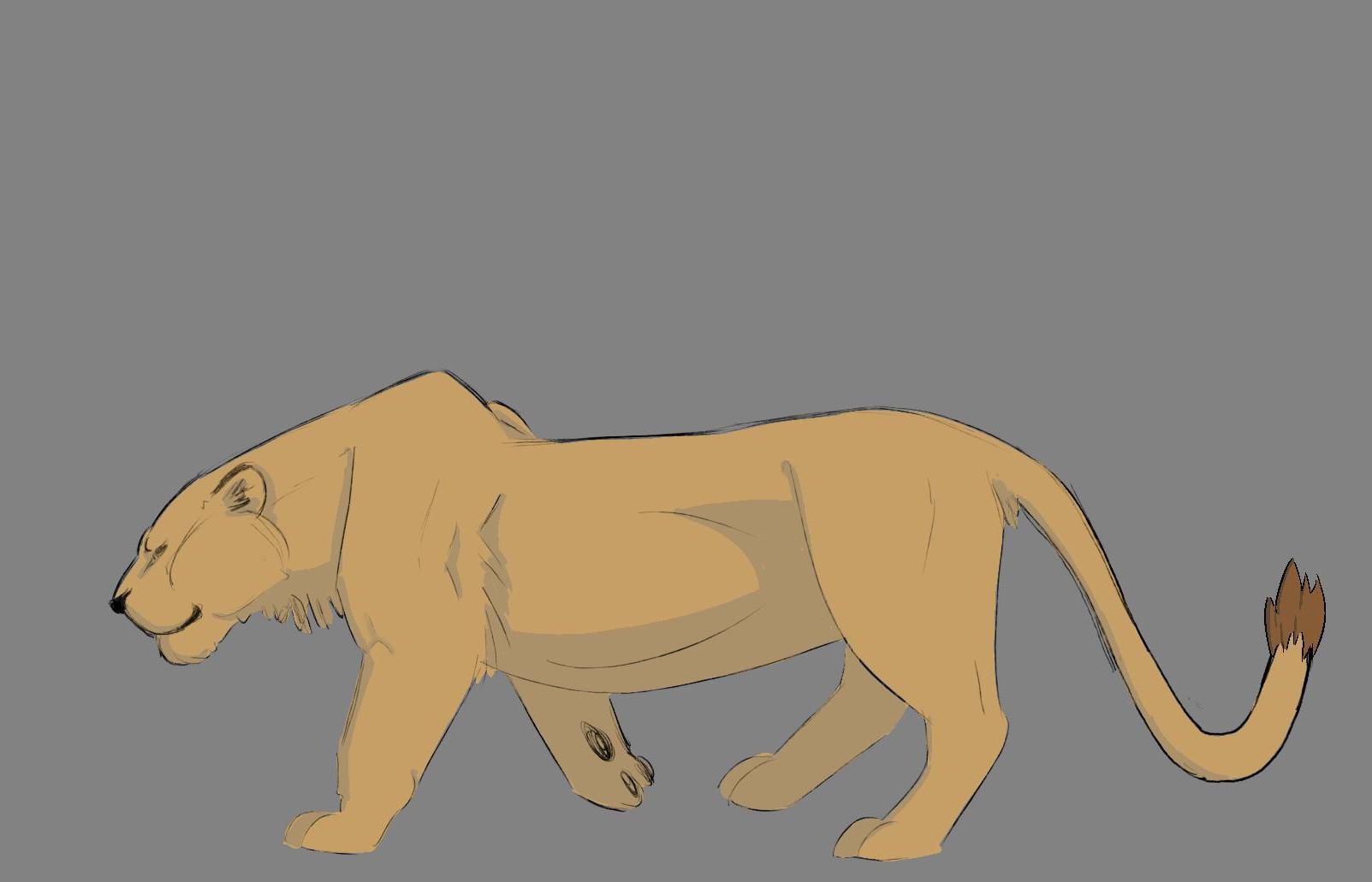Walk Cycle:4 Legs