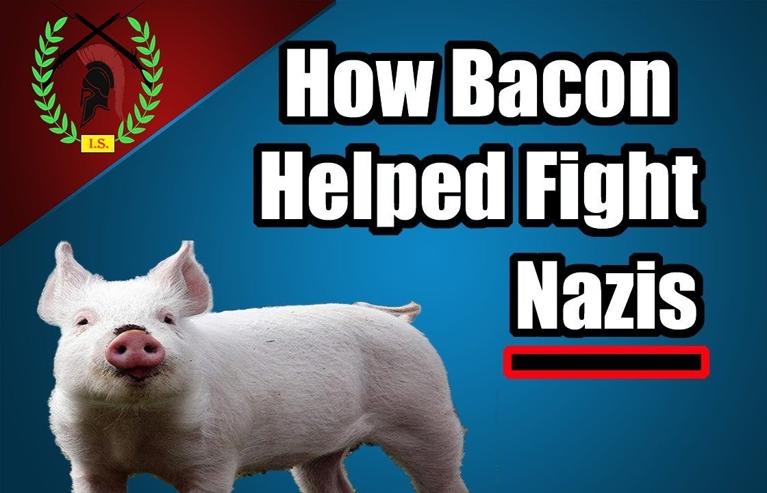 How Bacon Helped Fight The Nazis. - WW2 Military History