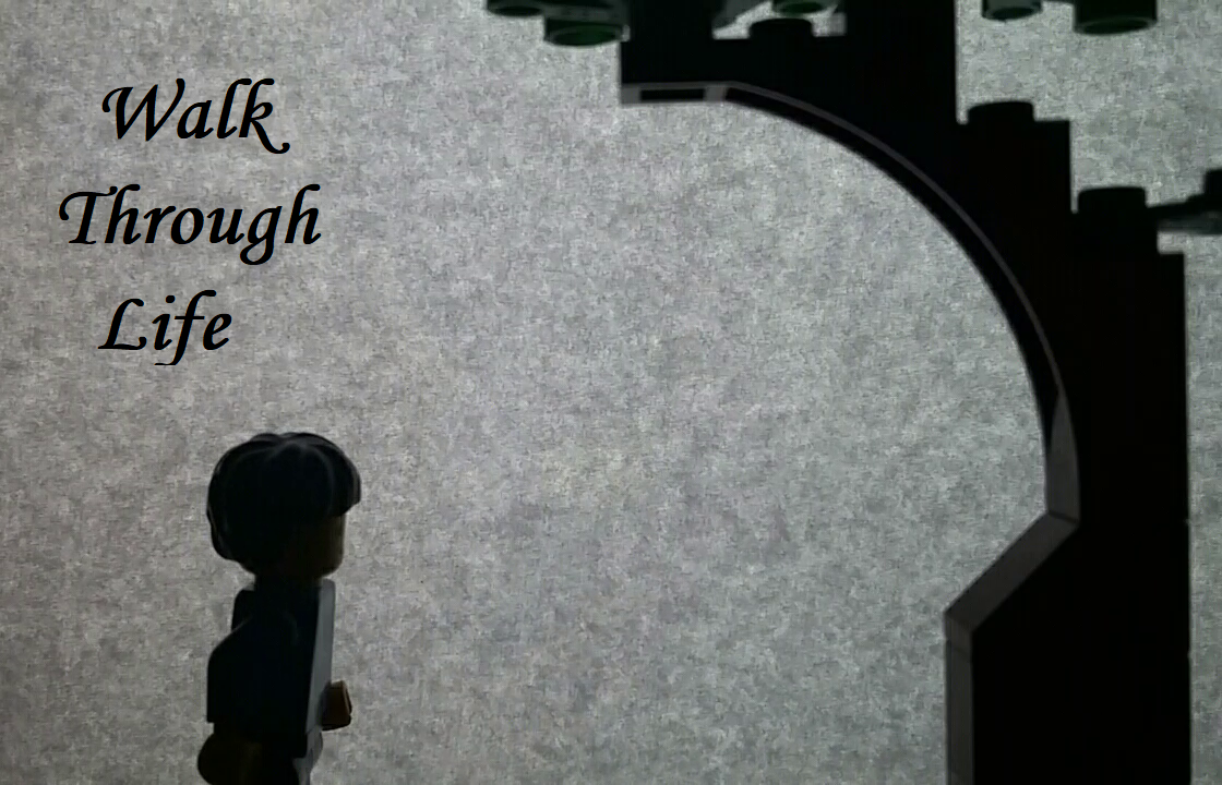 Walk Through Life