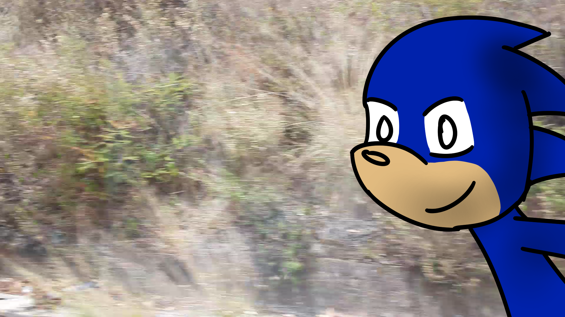 Sonic Test Animation