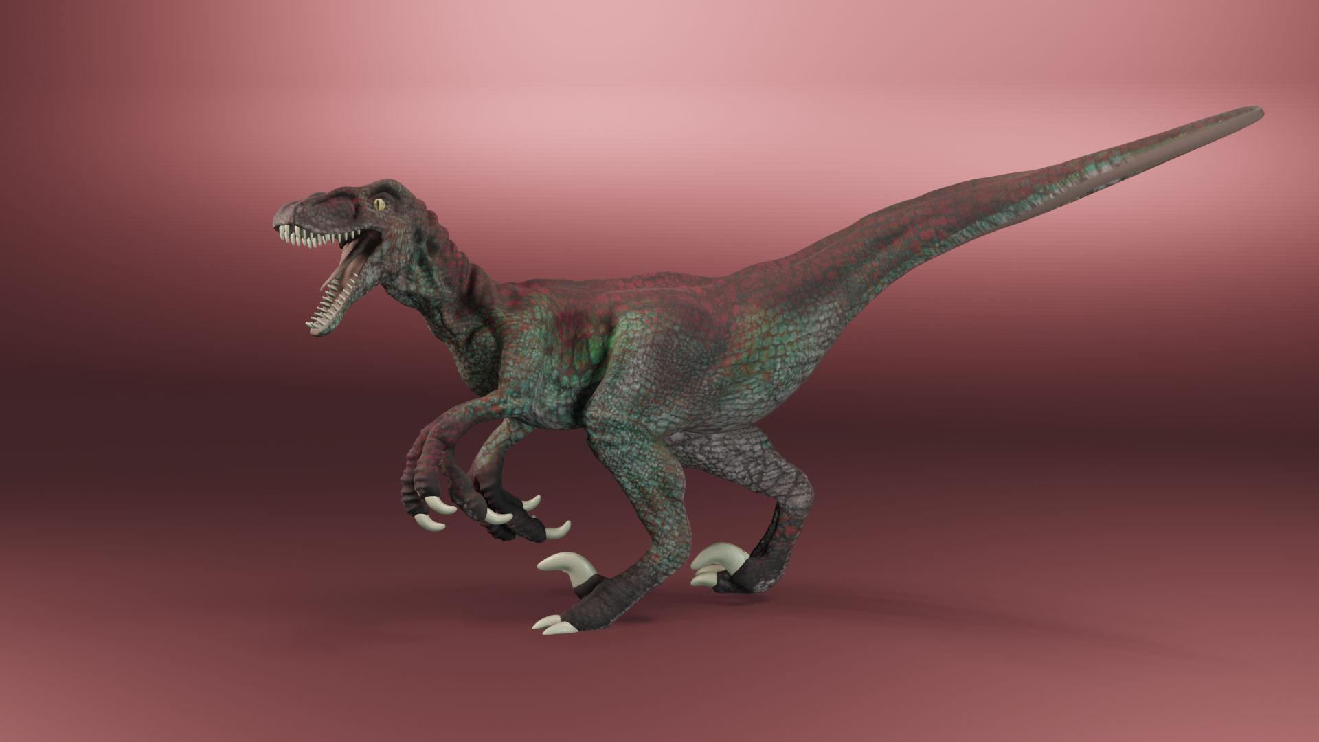 Raptor Animation