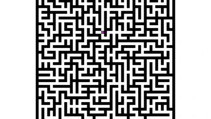 Maze version 1