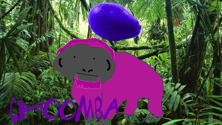 Choomba's Adventure Part 1