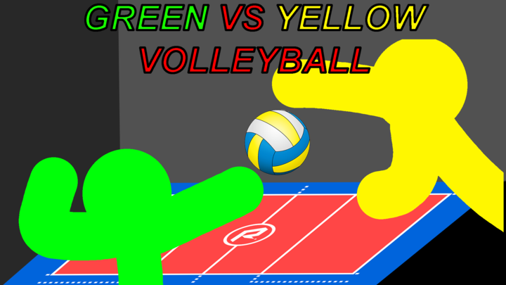 Volleyball Match