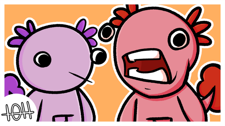 Your word is... Oxys Animation
