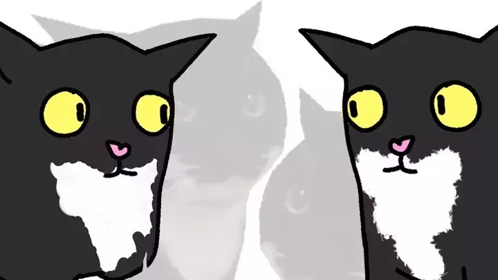 Maxwell fights Maxwell