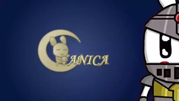 Anica 2.1