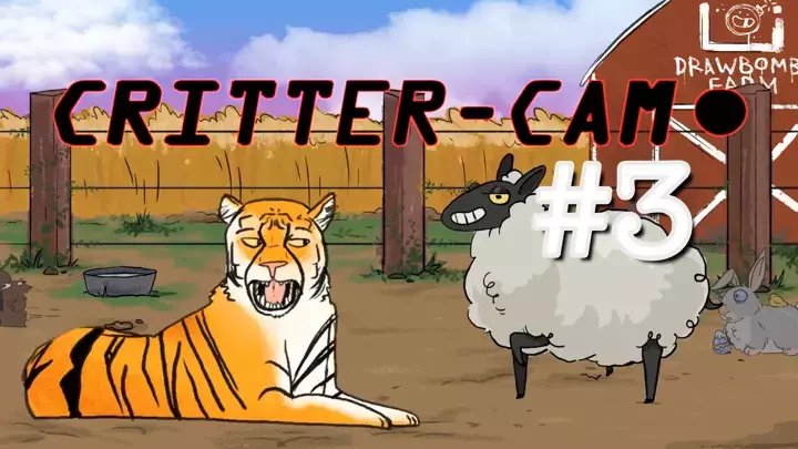 Critter Cam #3