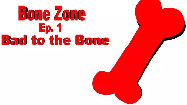 Bone Zone Pilot