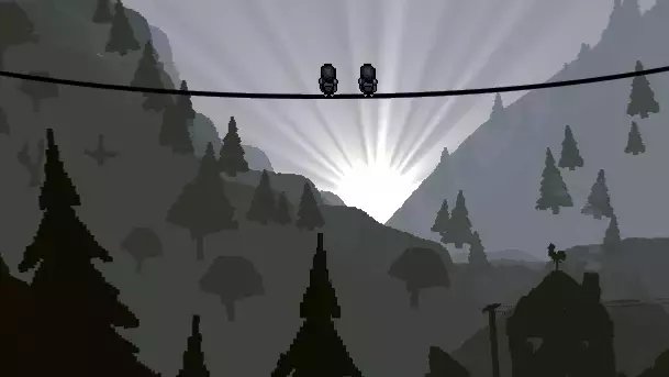 Birds of the Wire