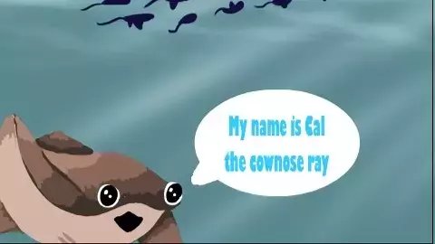 The Great Stingray Migration