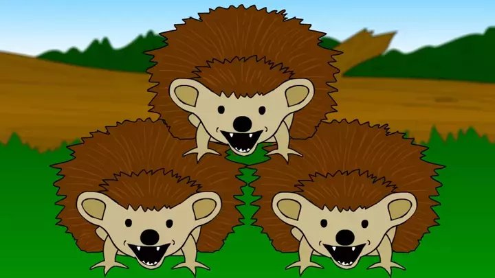 Hedgehogs