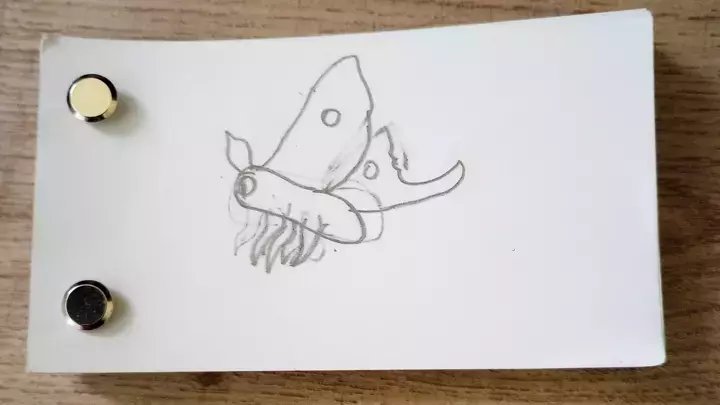 Moth flying and cat hunting flipbook