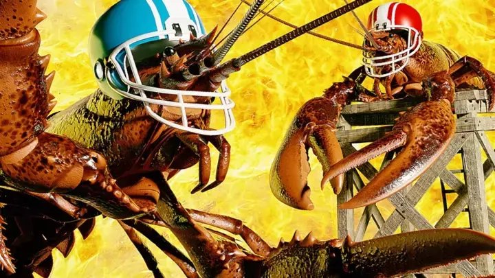 Animal Fact: Lobsters