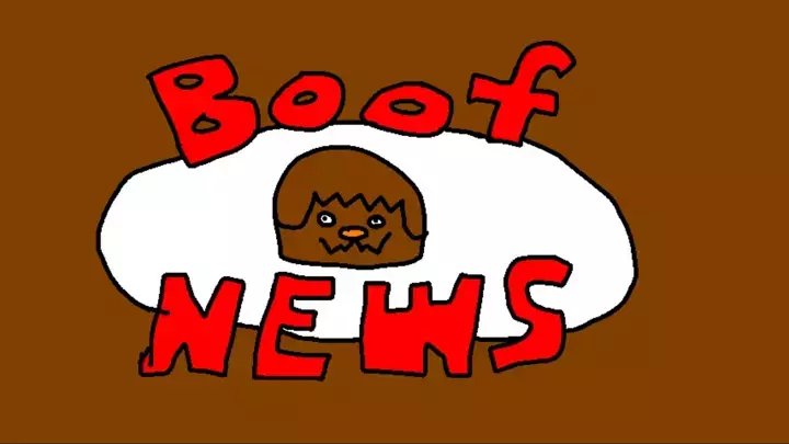 BOOF NEWS