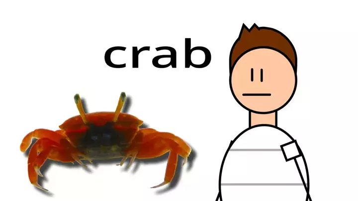 Crab