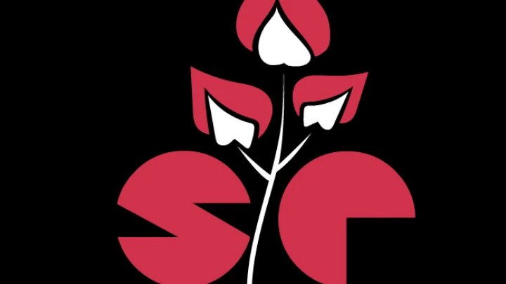 Sweet Pea Art Studio Patreon Promo.