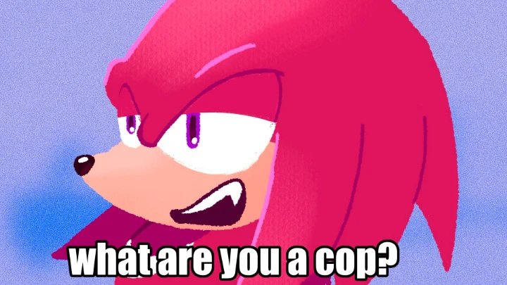 what are you a cop?
