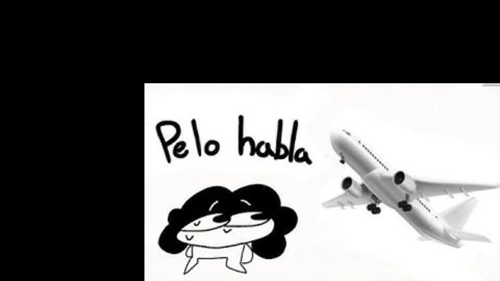 Pelo habla-los aviones