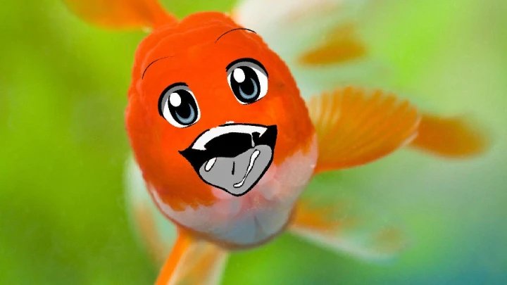 finding nemo's G Spot