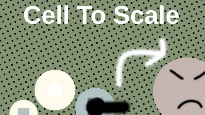 Cell To Scale