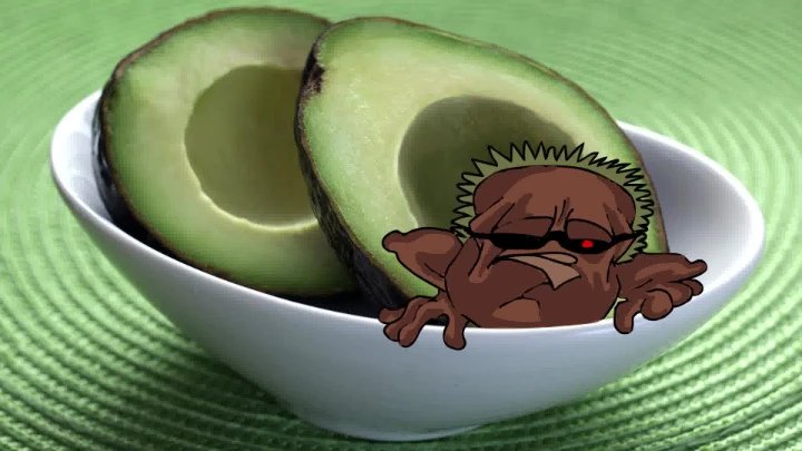 Basic Avocado Memes Get Your Guac On: Island Fin Poké Co. Serves Up