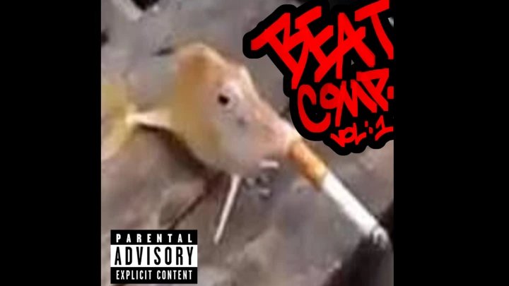 FISH STIX BEAT VISUALIZER: VOL.01