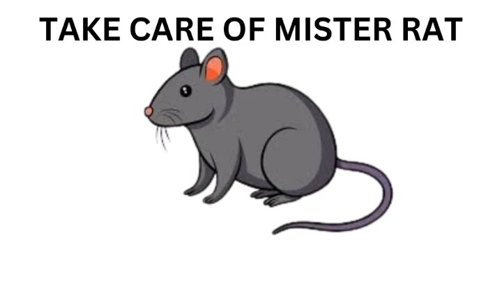 Take Care Of Mister Rat