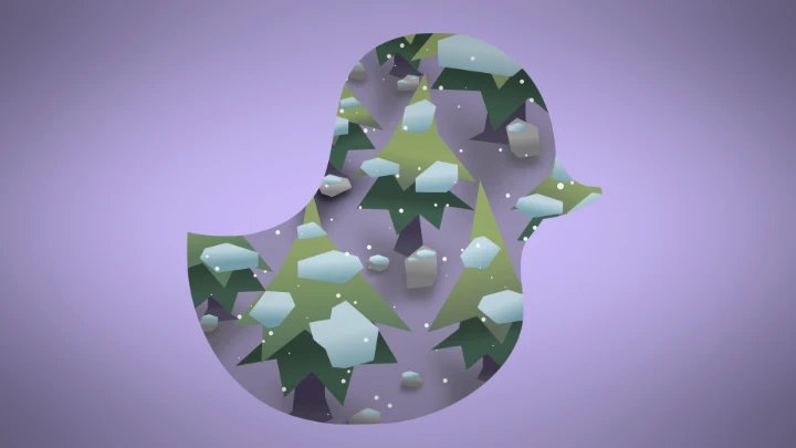 Lonely Duck