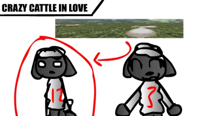 Crazy Cattle in love