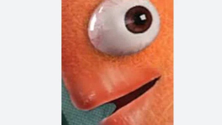 Finding Nemo's G Spot HES LOST