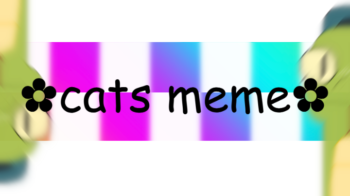 cats animation meme