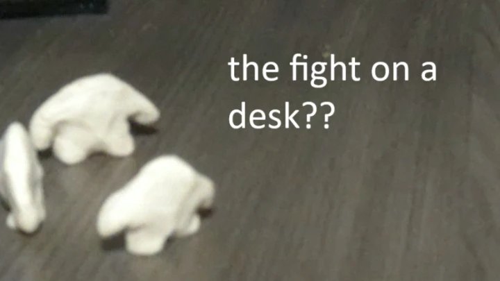 the fight