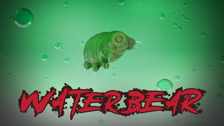 WATERBEAR